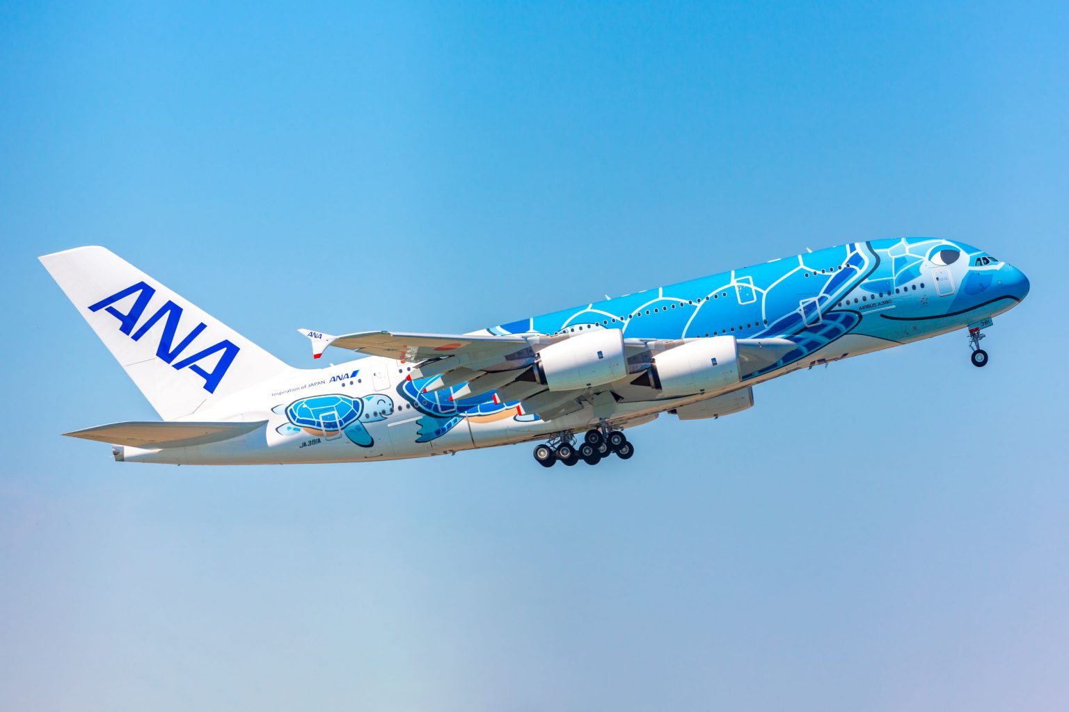 ANA’s “Flying Honu” (A380) Scenic Flight Continue to Attract : Infini